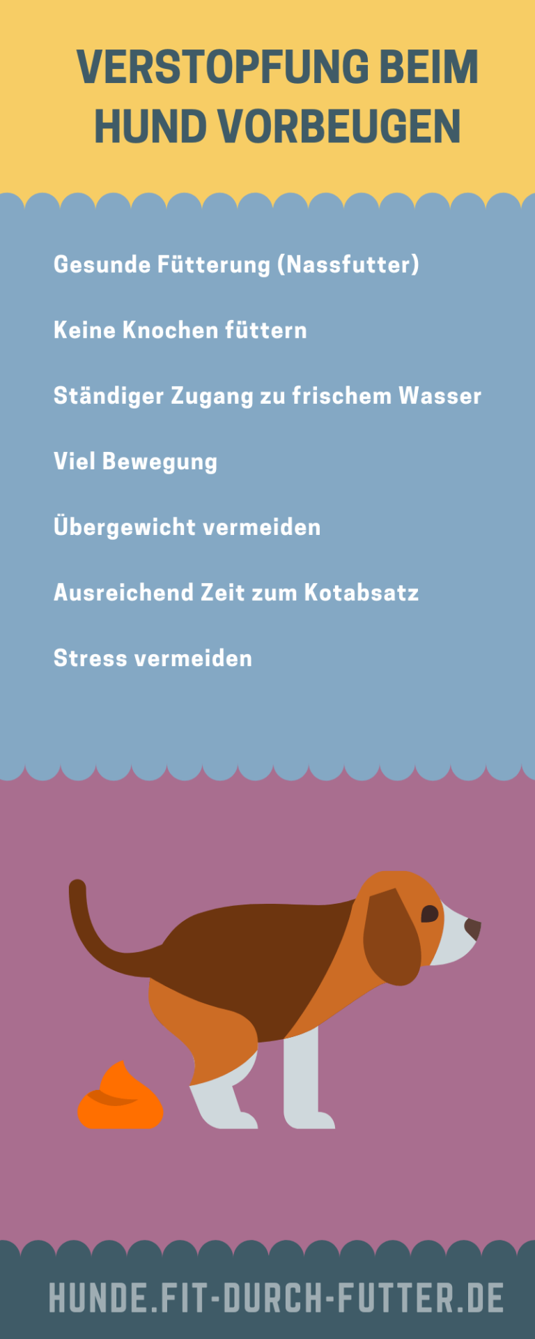 Hund Ausstopfen Kosten
